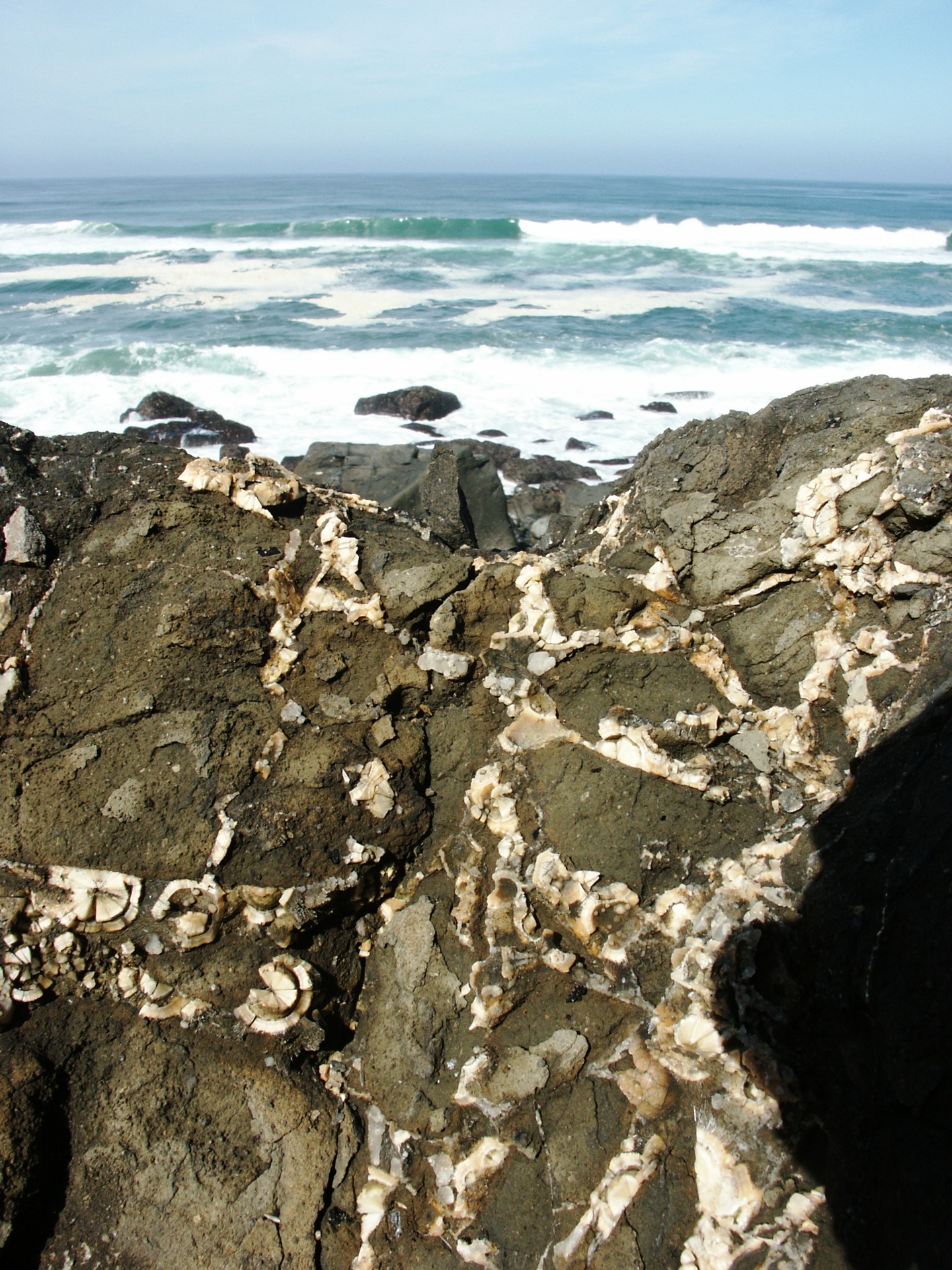 Zeólitos de Portugal :: Museu Coleção Martins da Pedra
